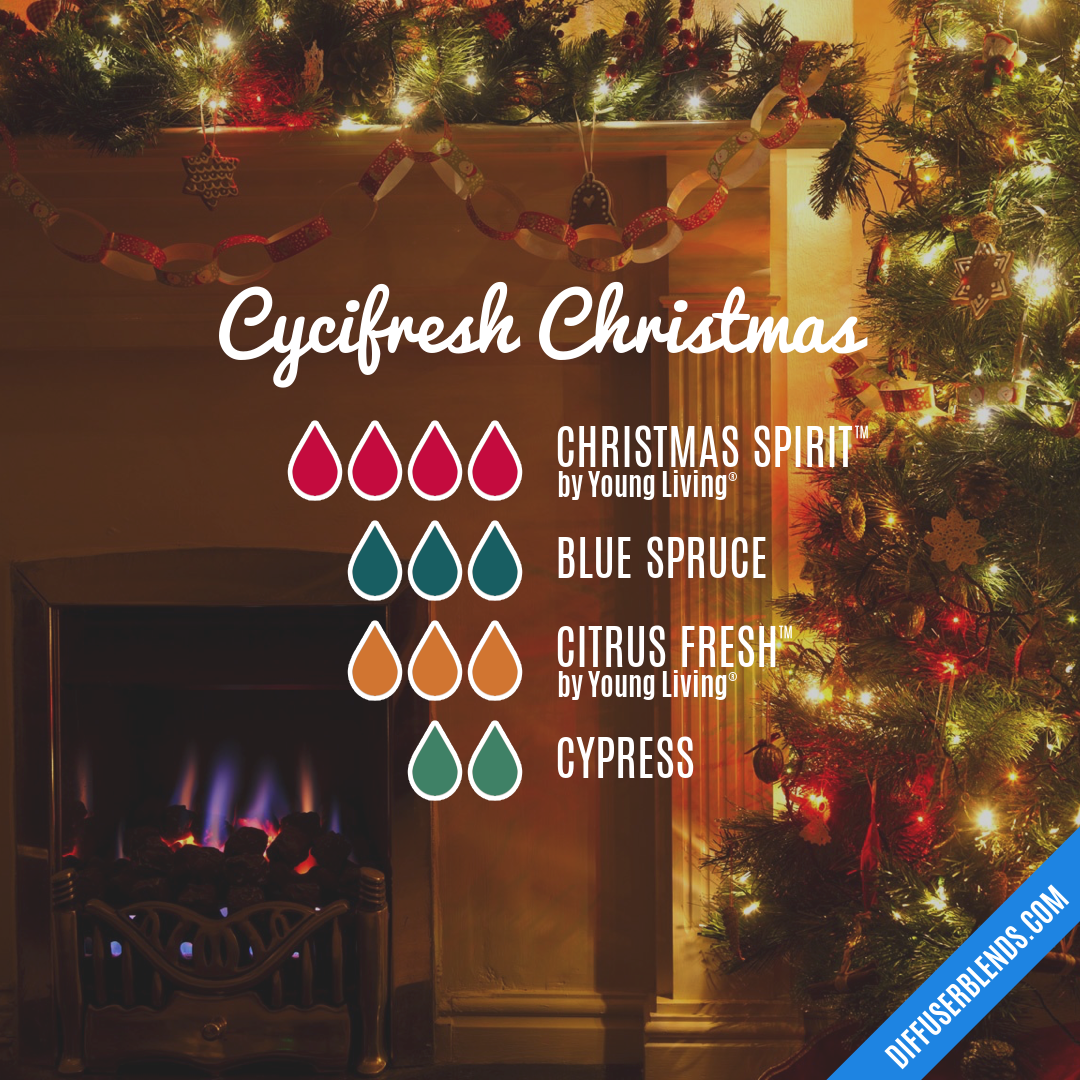 Cycifresh Christmas | DiffuserBlends.com