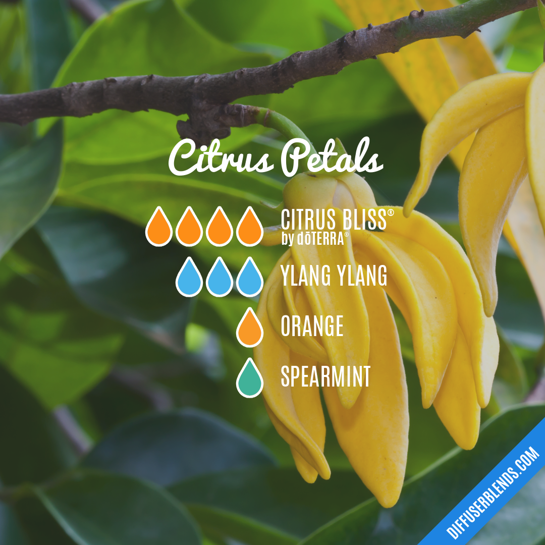 Citrus Petals | DiffuserBlends.com