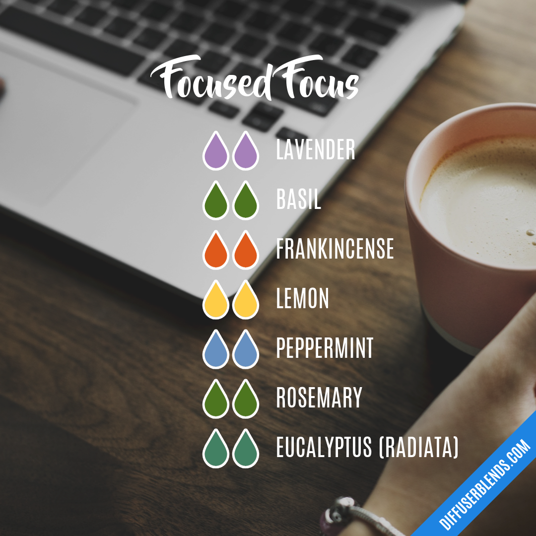 Focused Focus | DiffuserBlends.com