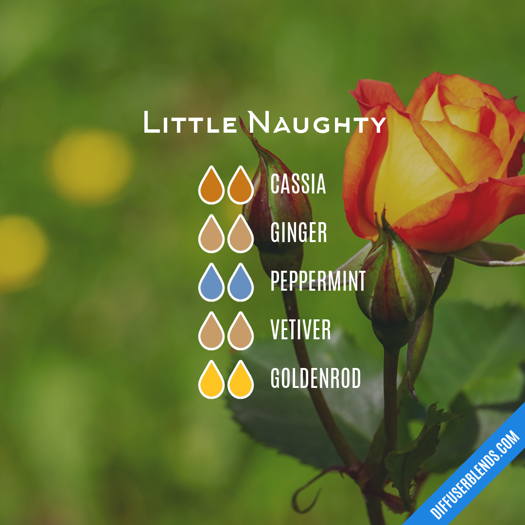 Little Naughty | DiffuserBlends.com