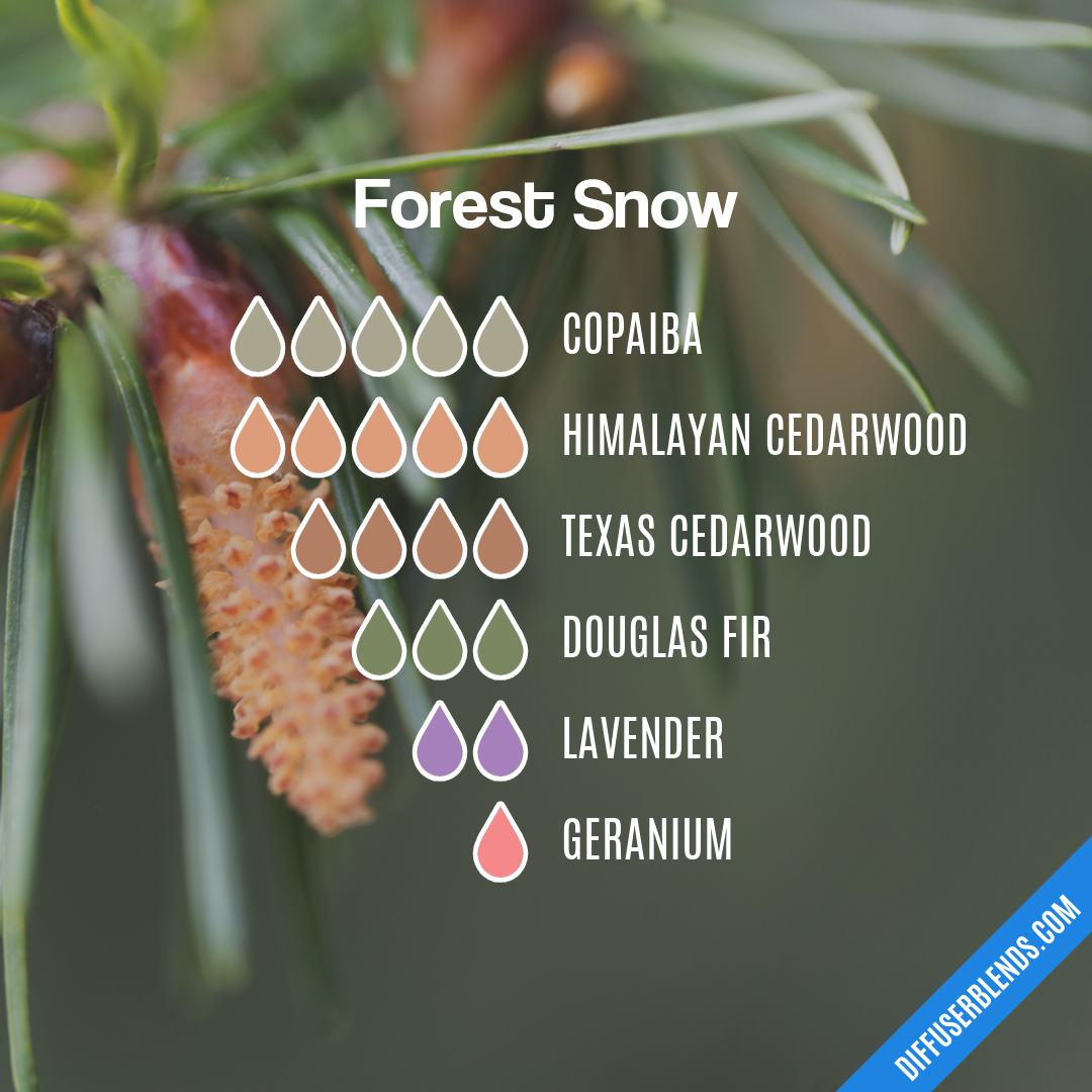 Forest Snow | DiffuserBlends.com