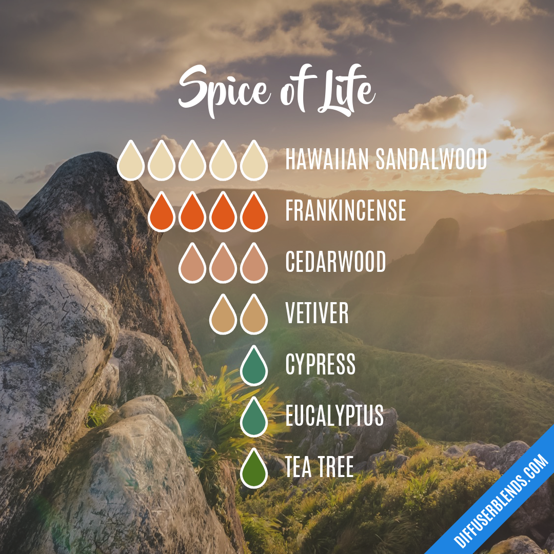 Spice of Life | DiffuserBlends.com