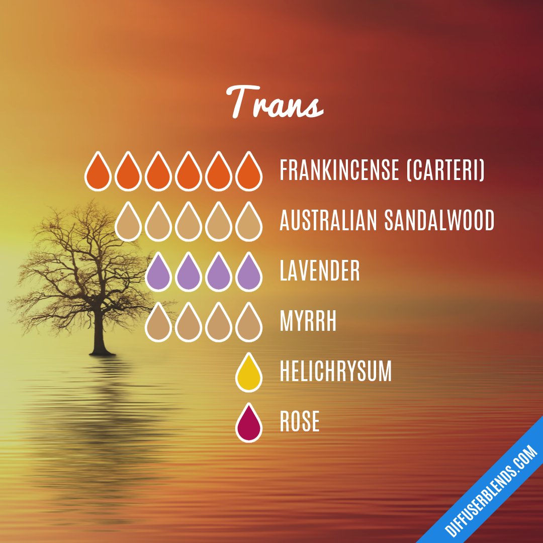 Trans | DiffuserBlends.com