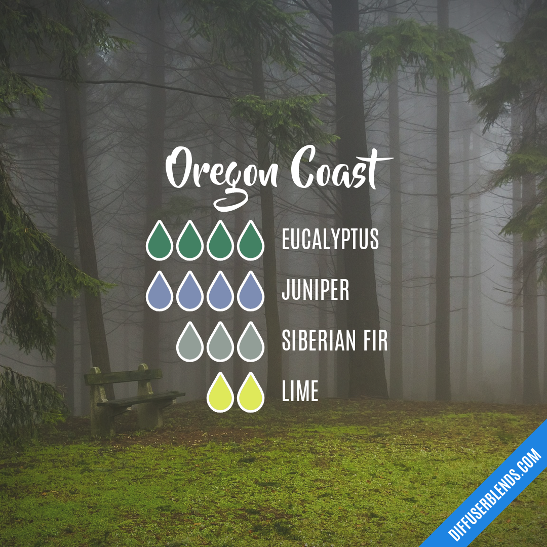 Oregon Coast | DiffuserBlends.com