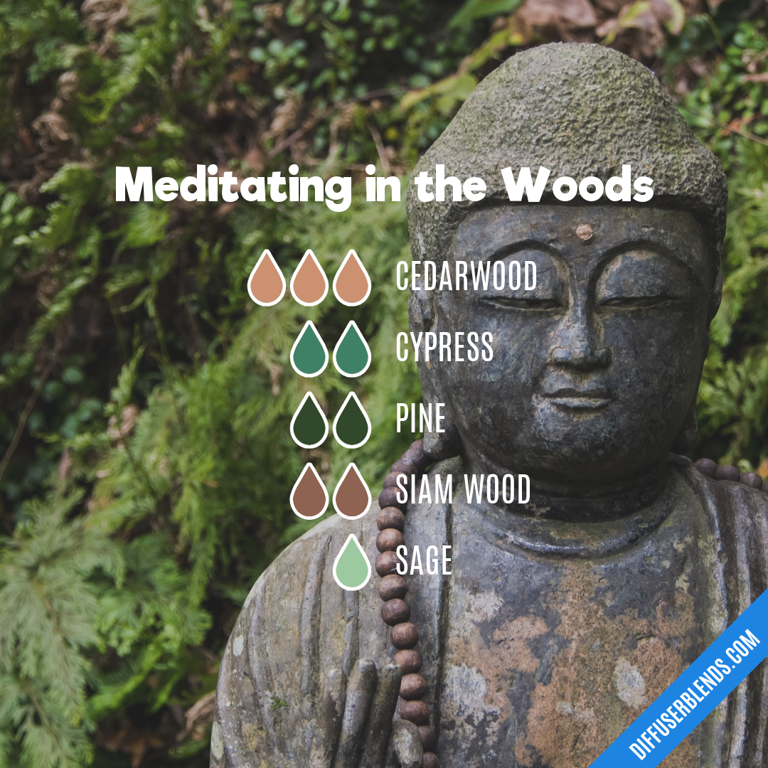 Meditating in the Woods | DiffuserBlends.com