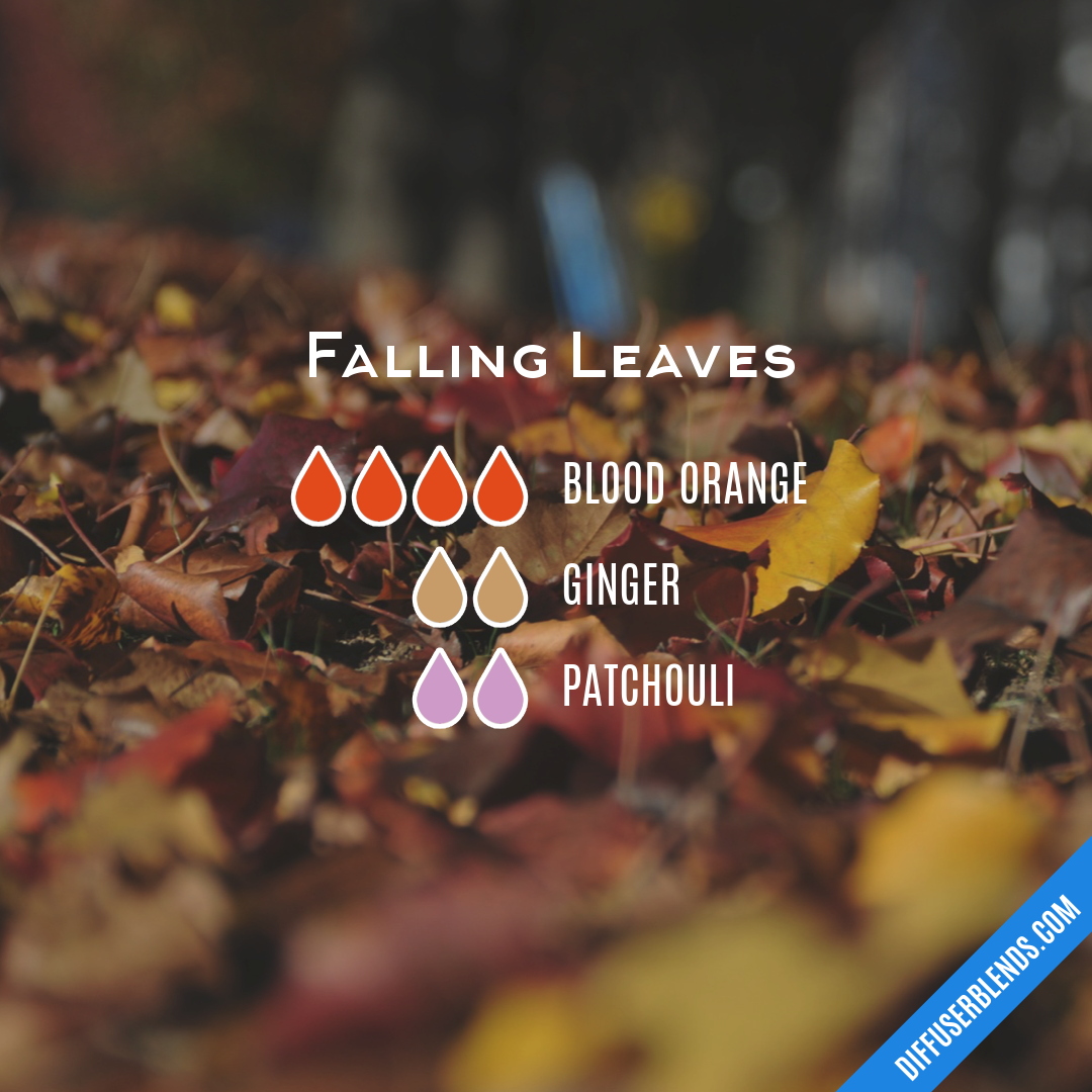 Falling Leaves | DiffuserBlends.com