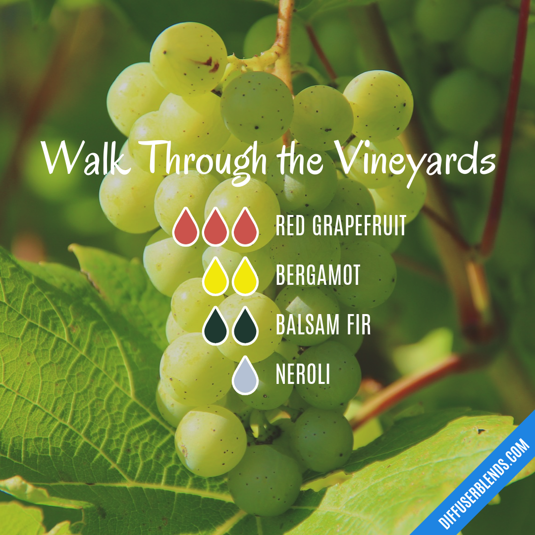Walk Through the Vineyards | DiffuserBlends.com
