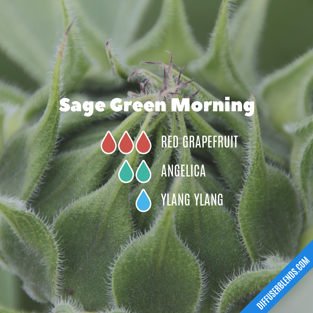 Sage Green Morning | DiffuserBlends.com