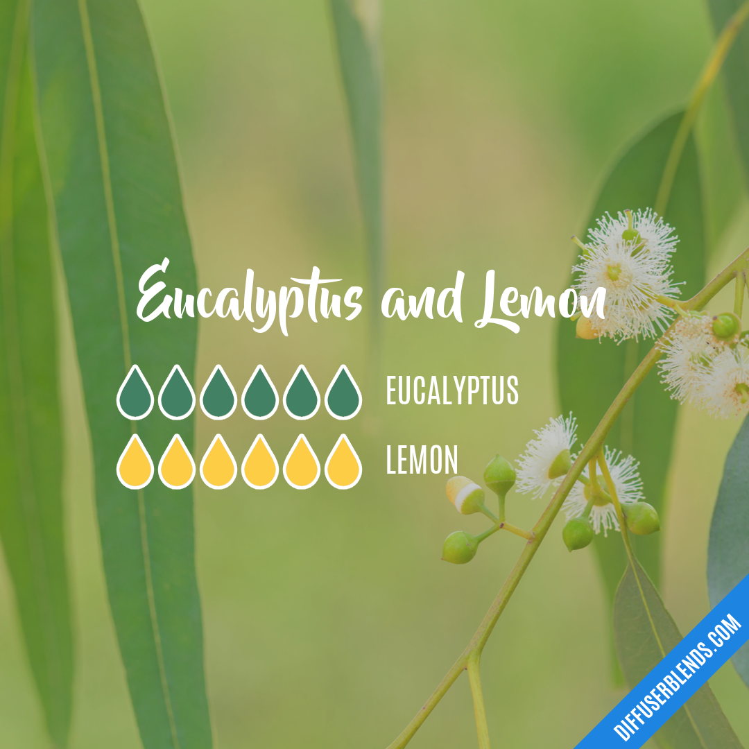 Eucalyptus and Lemon | DiffuserBlends.com