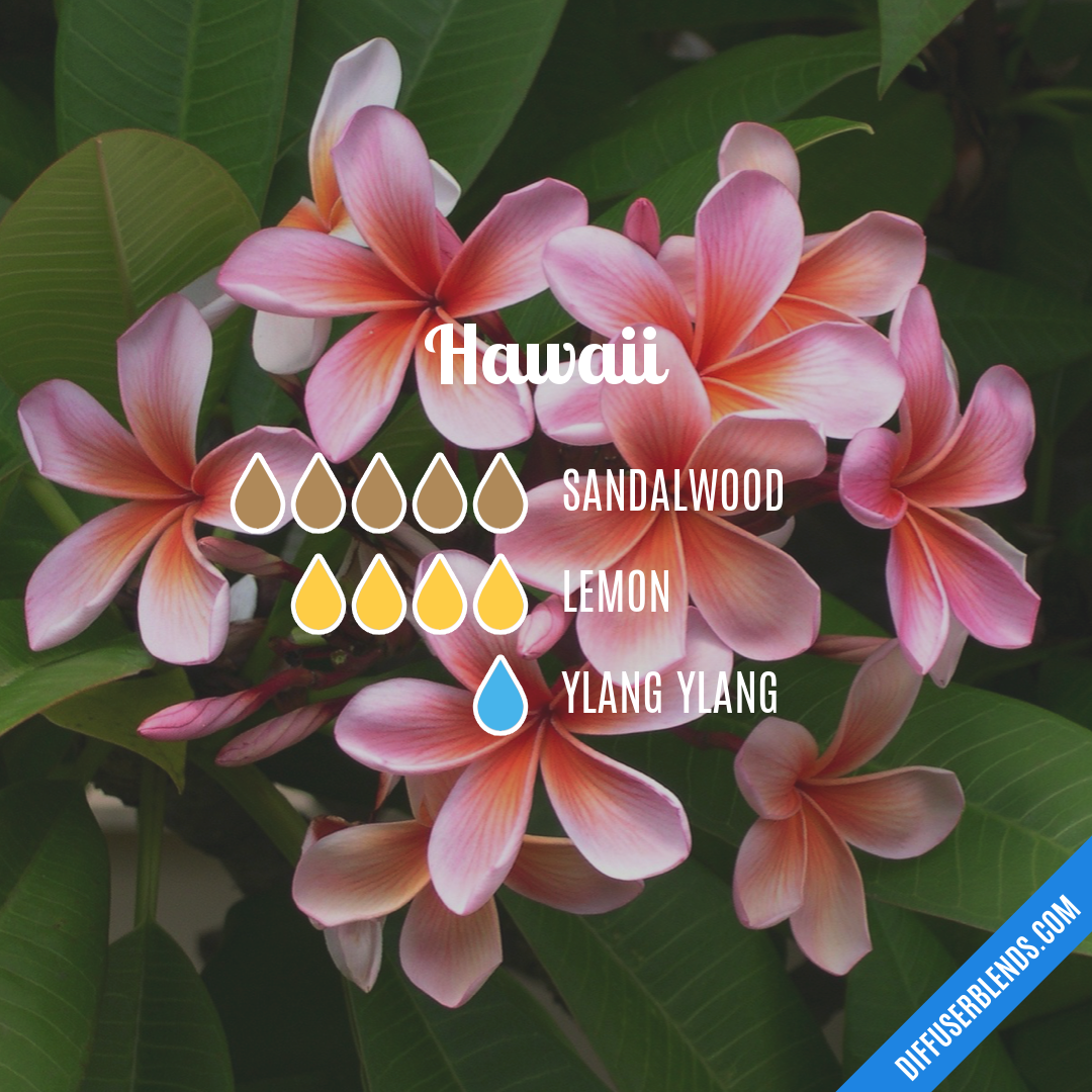 Hawaii | DiffuserBlends.com