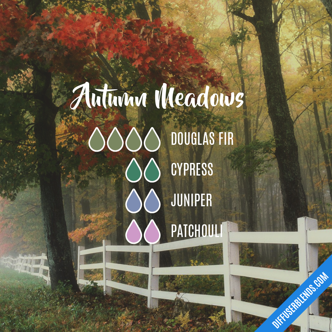 Autumn Meadows | DiffuserBlends.com