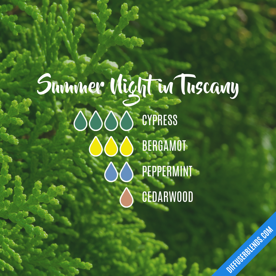Summer Night in Tuscany | DiffuserBlends.com