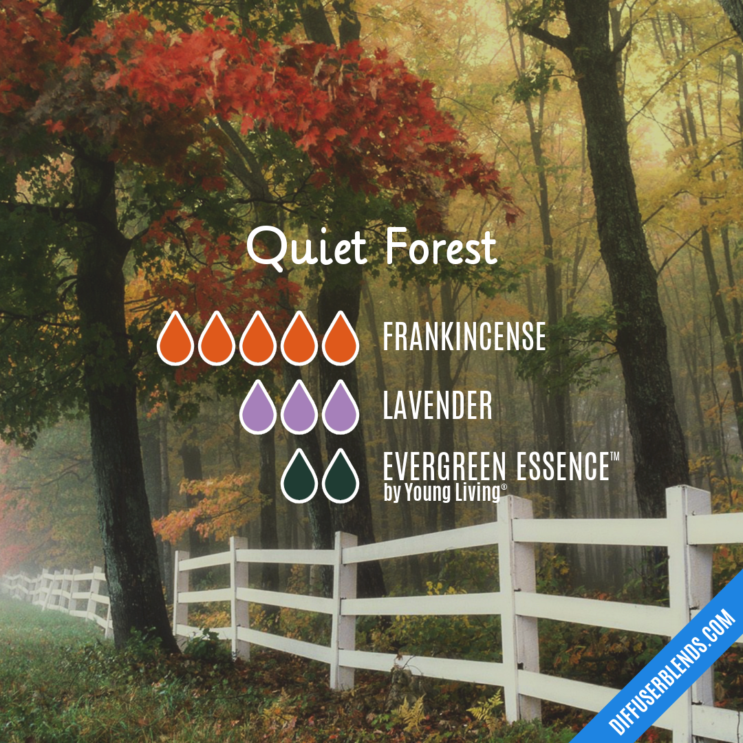 Quiet Forest | DiffuserBlends.com