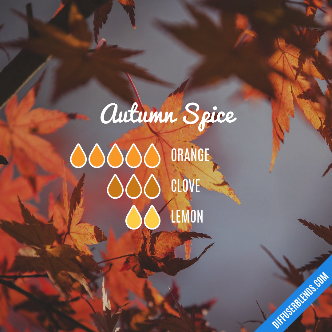 Autumn Spice | DiffuserBlends.com