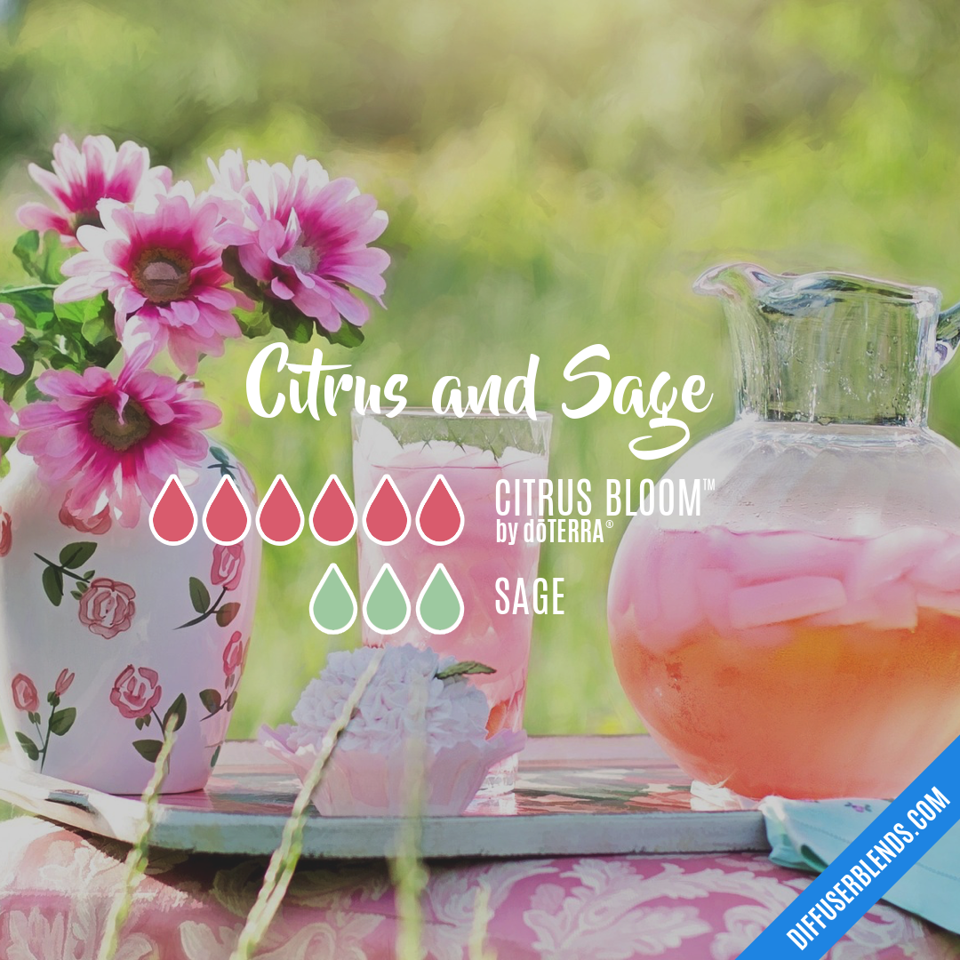 Citrus and Sage | DiffuserBlends.com