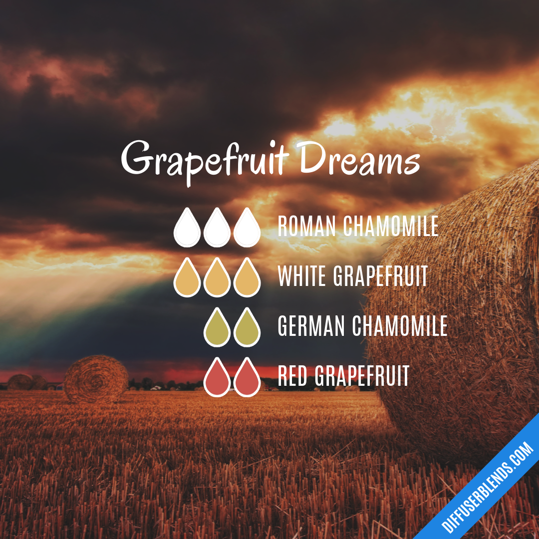Grapefruit Dreams | DiffuserBlends.com
