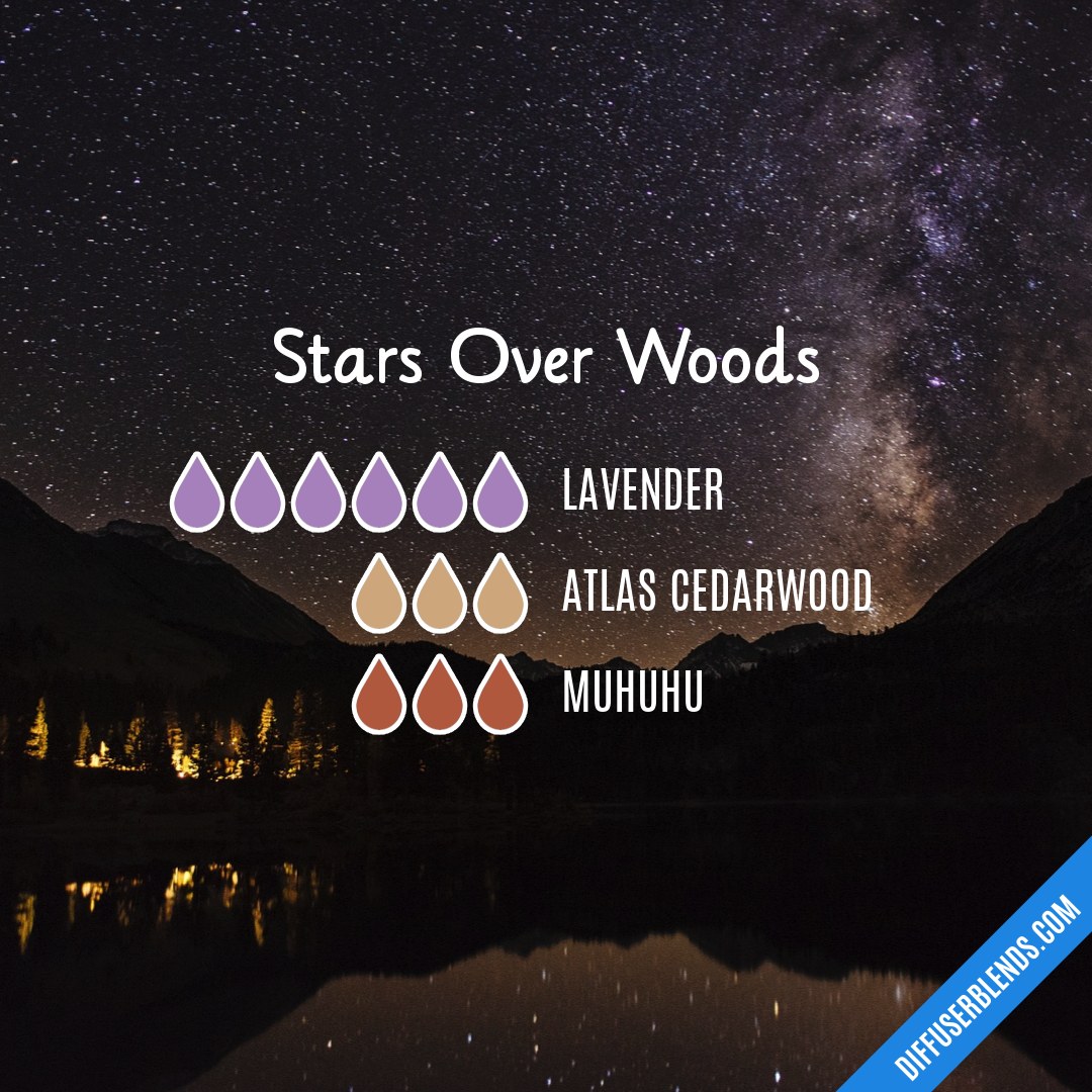 Stars Over Woods | DiffuserBlends.com