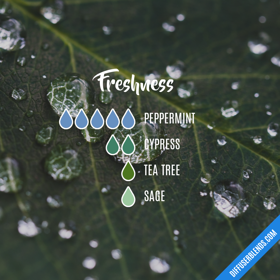 Freshness | DiffuserBlends.com