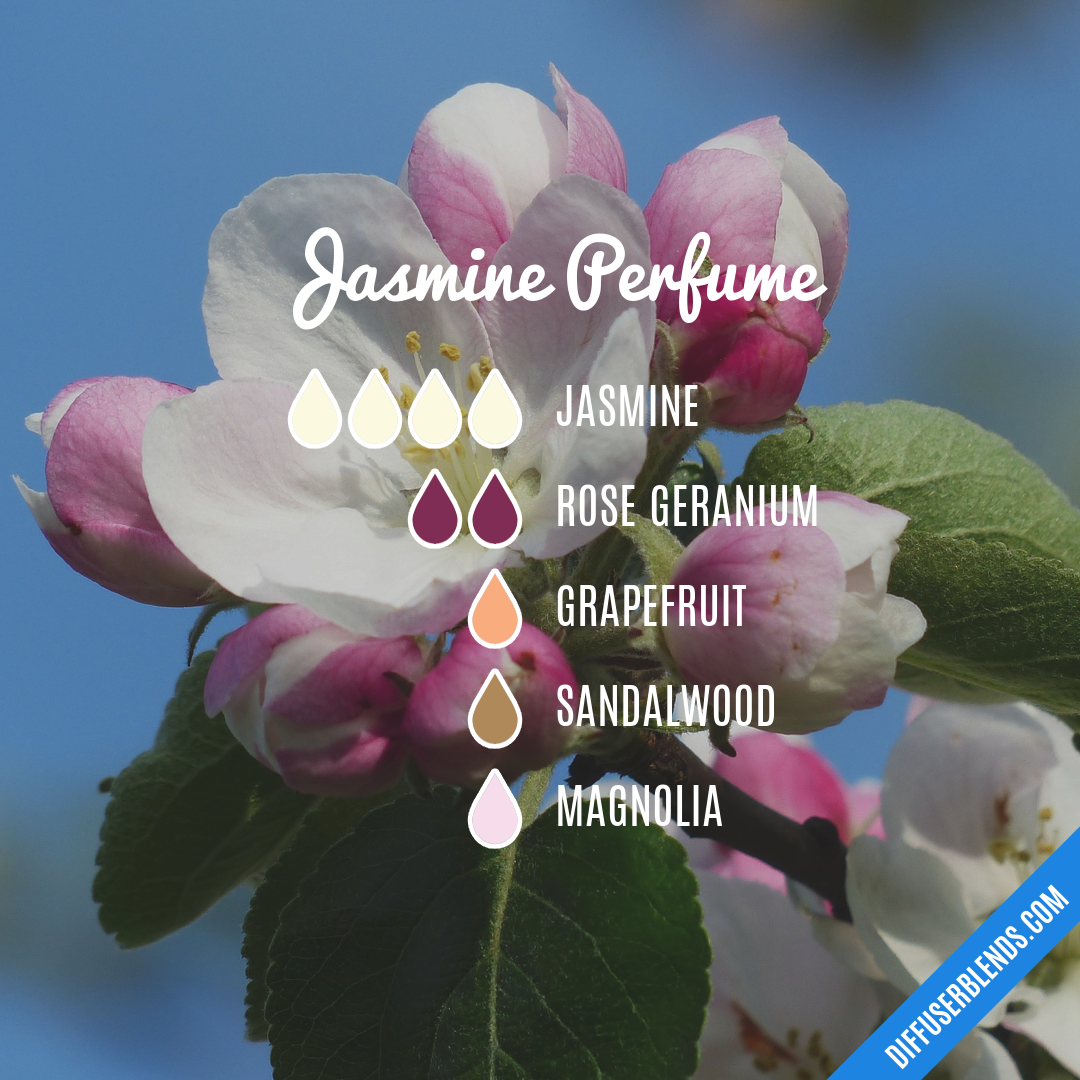 Jasmine Perfume | DiffuserBlends.com