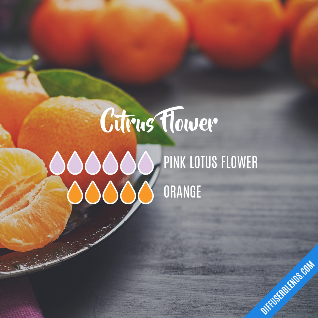 Citrus Flower | DiffuserBlends.com