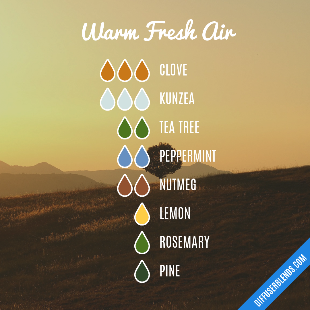 Warm Fresh Air | DiffuserBlends.com