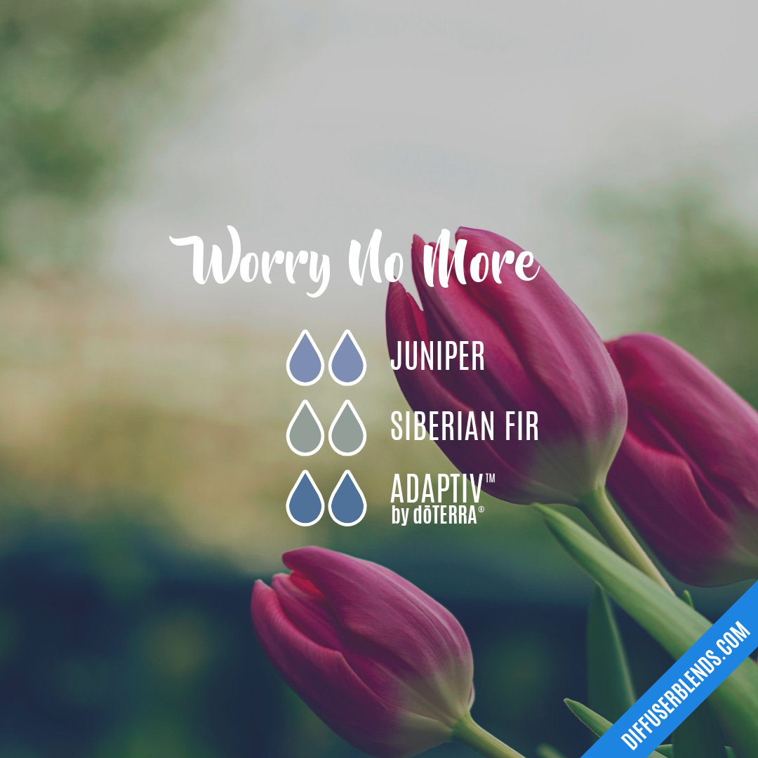 Worry No More | DiffuserBlends.com