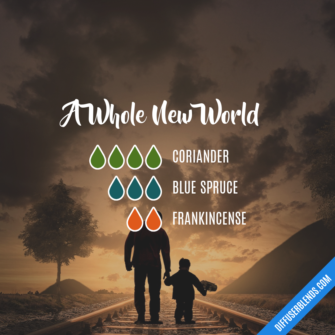 A Whole New World | DiffuserBlends.com