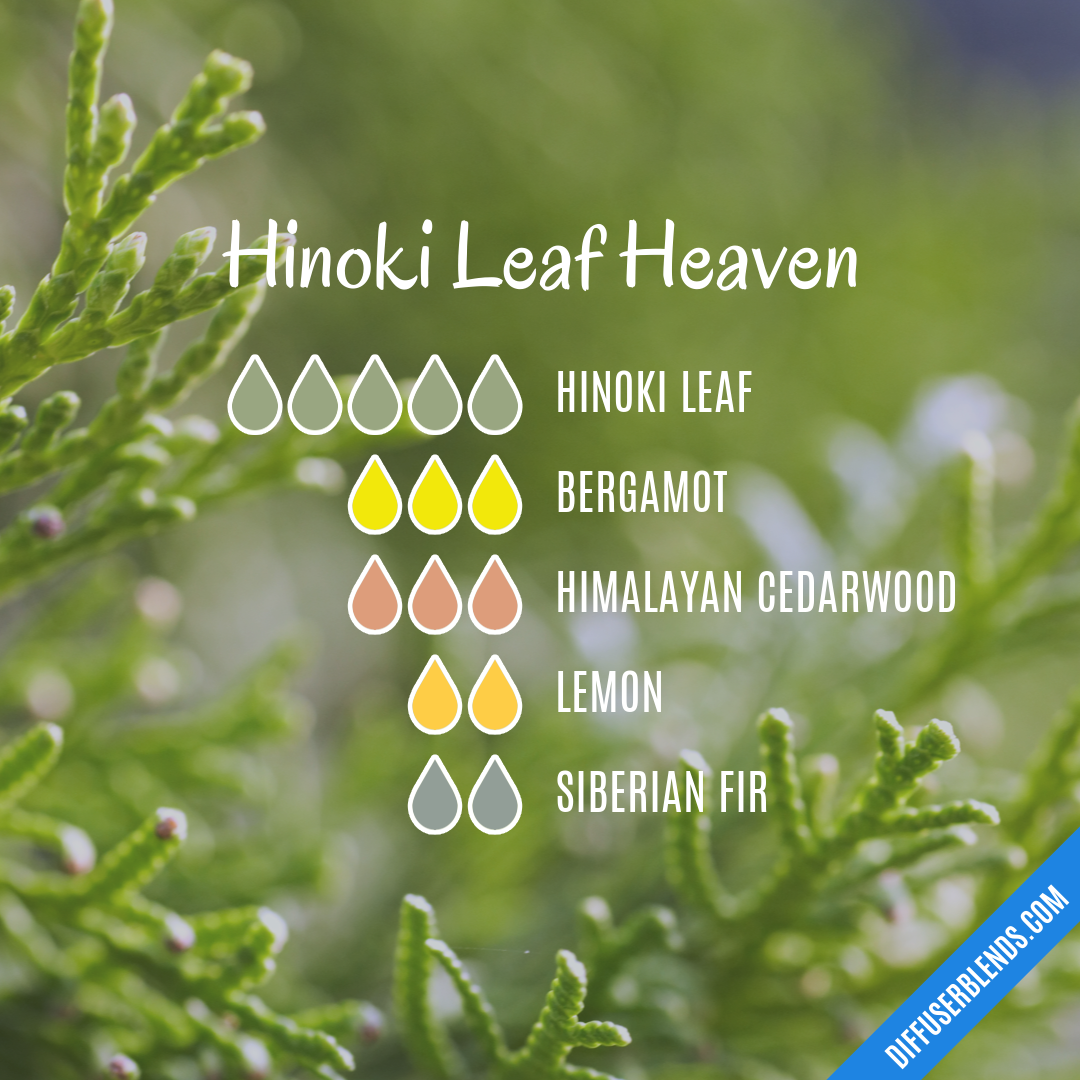 Hinoki Leaf Heaven | DiffuserBlends.com