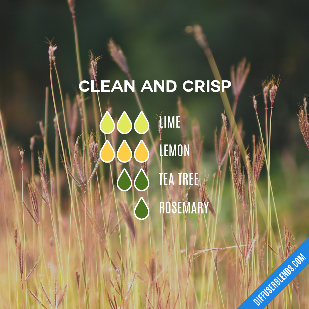 Clean and Crisp | DiffuserBlends.com