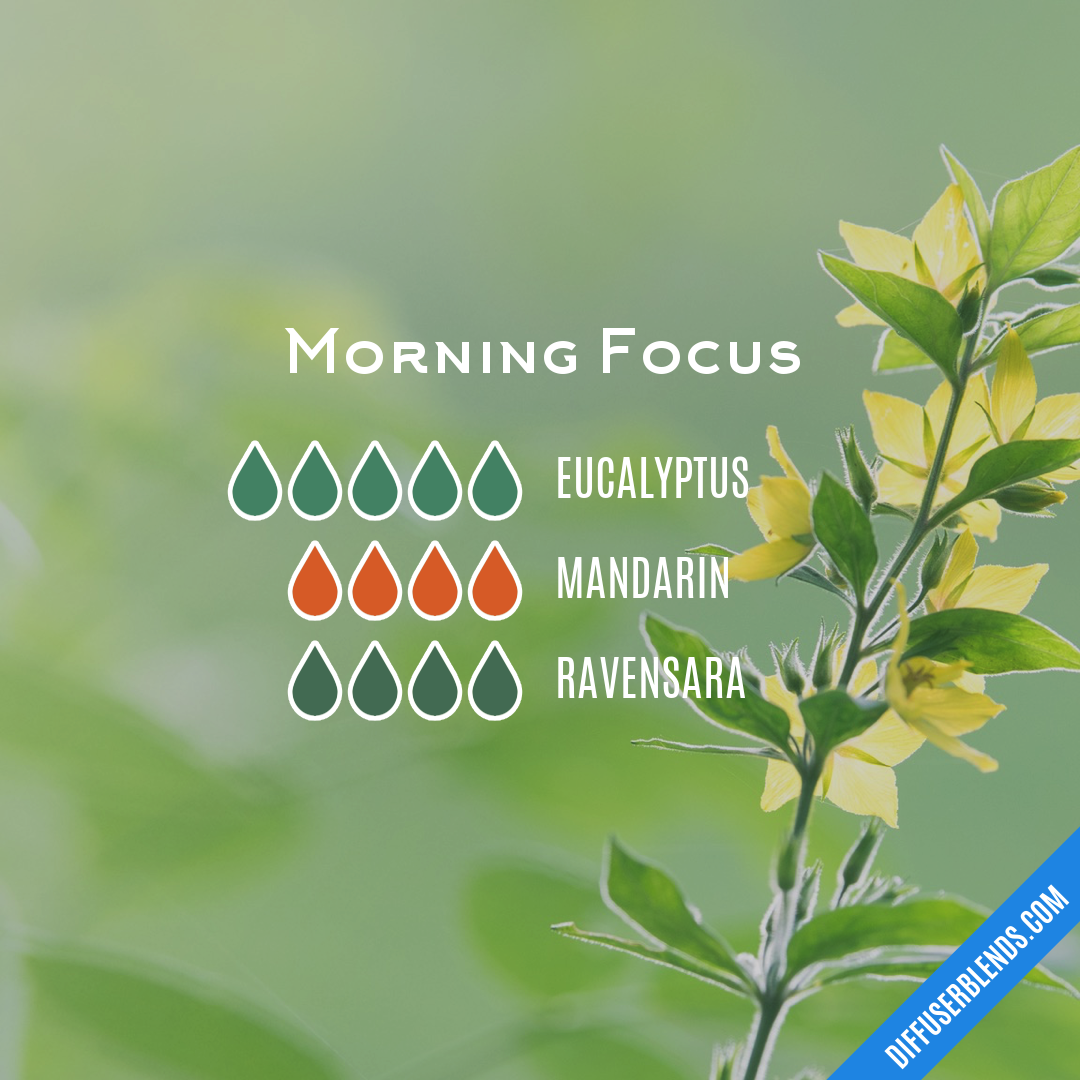 Morning Focus | DiffuserBlends.com