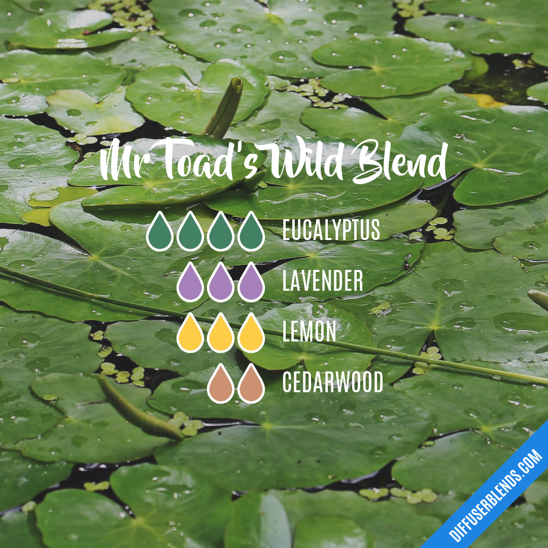 Mr Toad's Wild Blend | DiffuserBlends.com