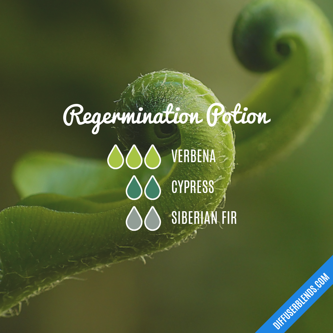 Regermination Potion | DiffuserBlends.com