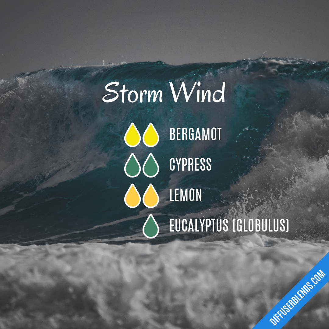Storm Wind | DiffuserBlends.com