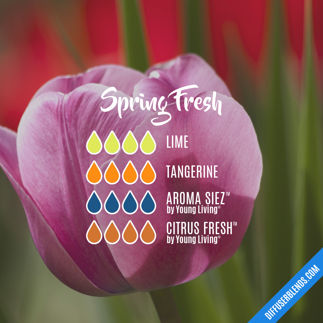 Spring Fresh | DiffuserBlends.com