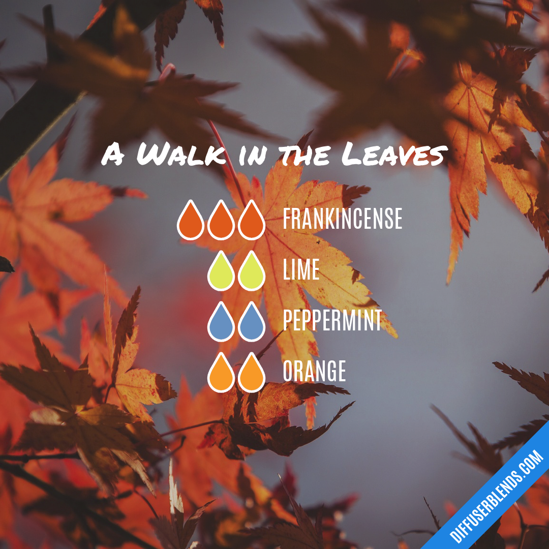 A Walk in the Leaves | DiffuserBlends.com