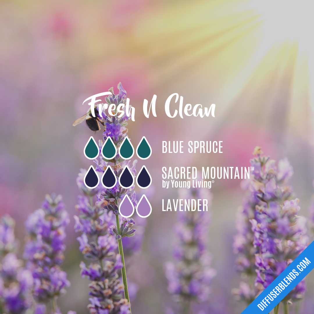 Fresh N Clean | DiffuserBlends.com