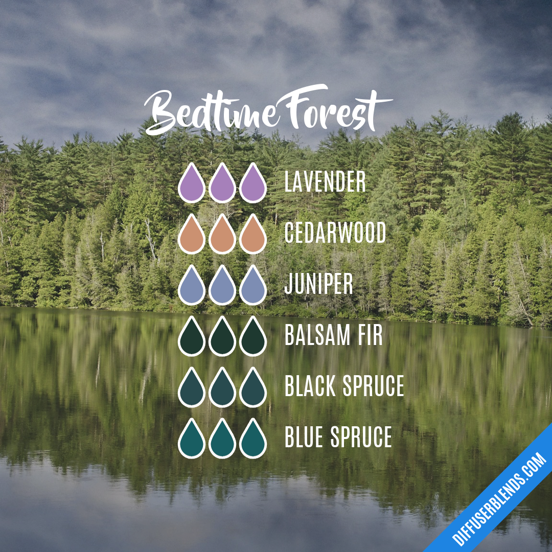 Bedtime Forest | DiffuserBlends.com