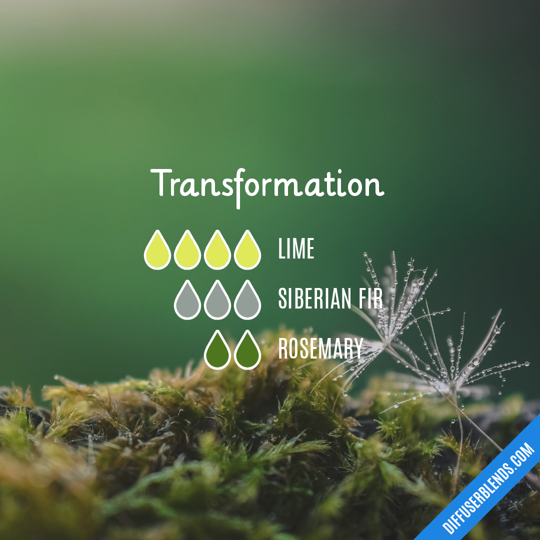 Transformation | DiffuserBlends.com