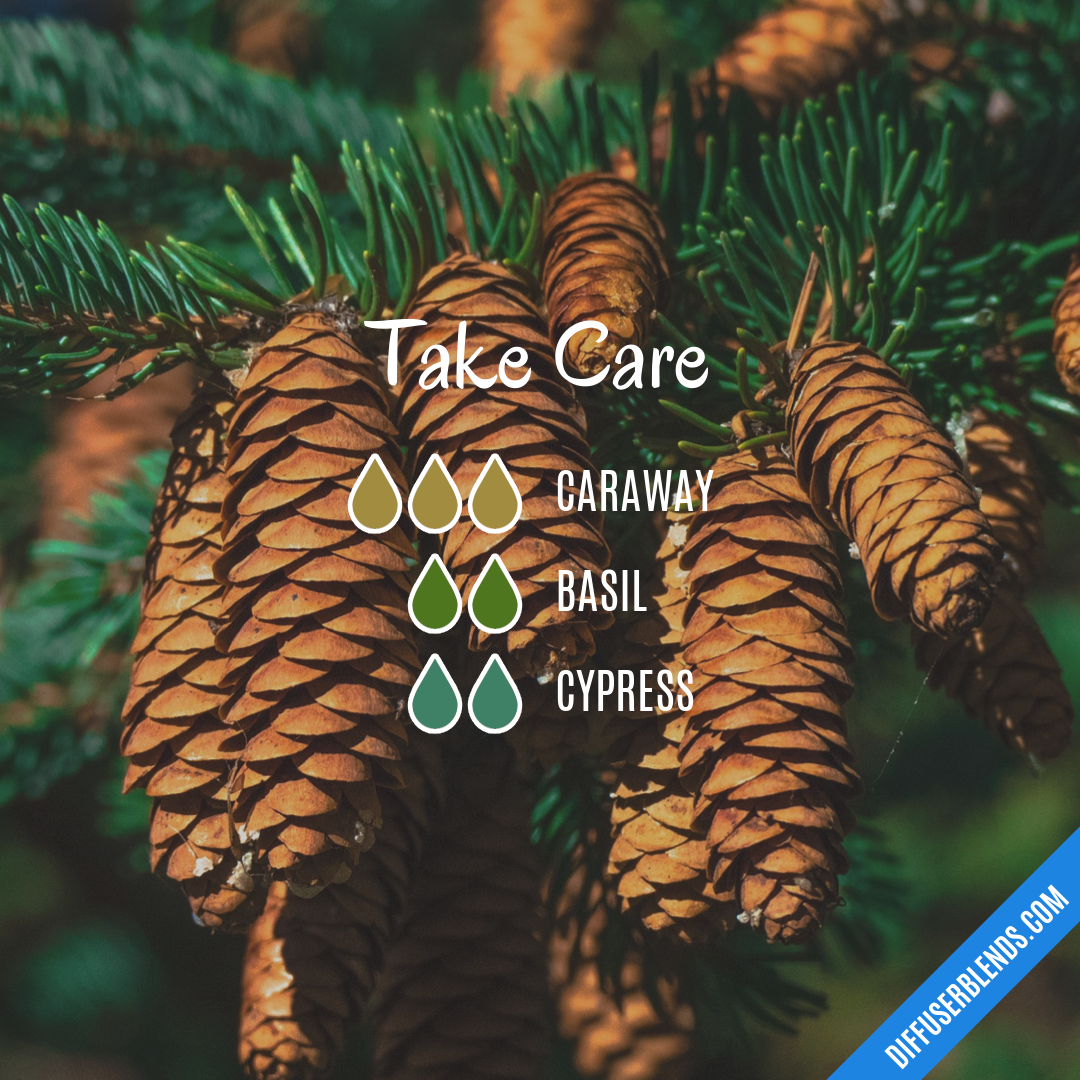 Take Care | DiffuserBlends.com