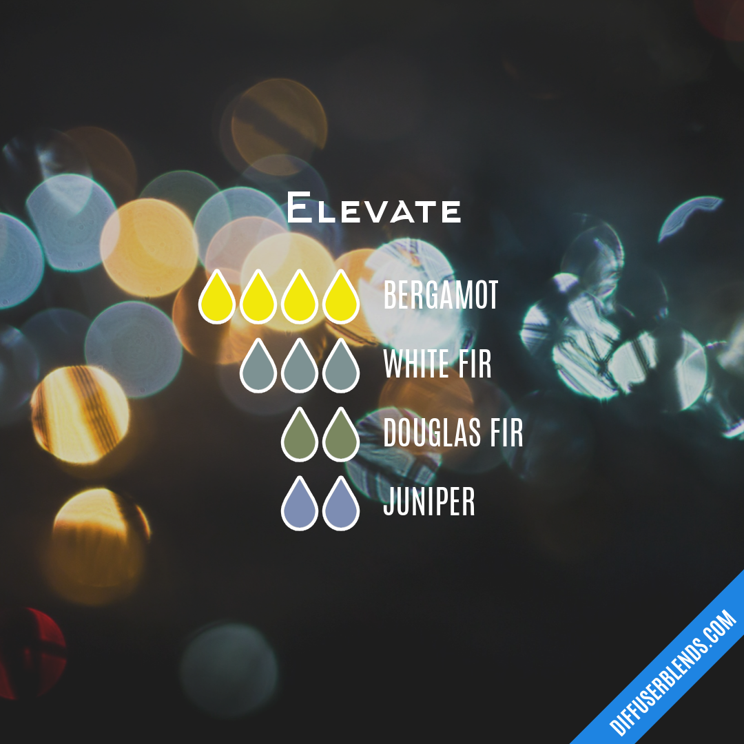 Elevate | DiffuserBlends.com