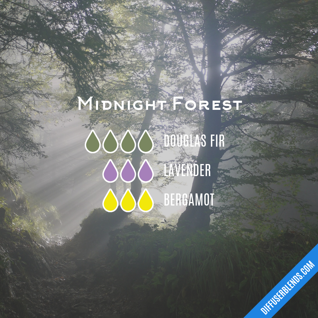 Midnight Forest | DiffuserBlends.com