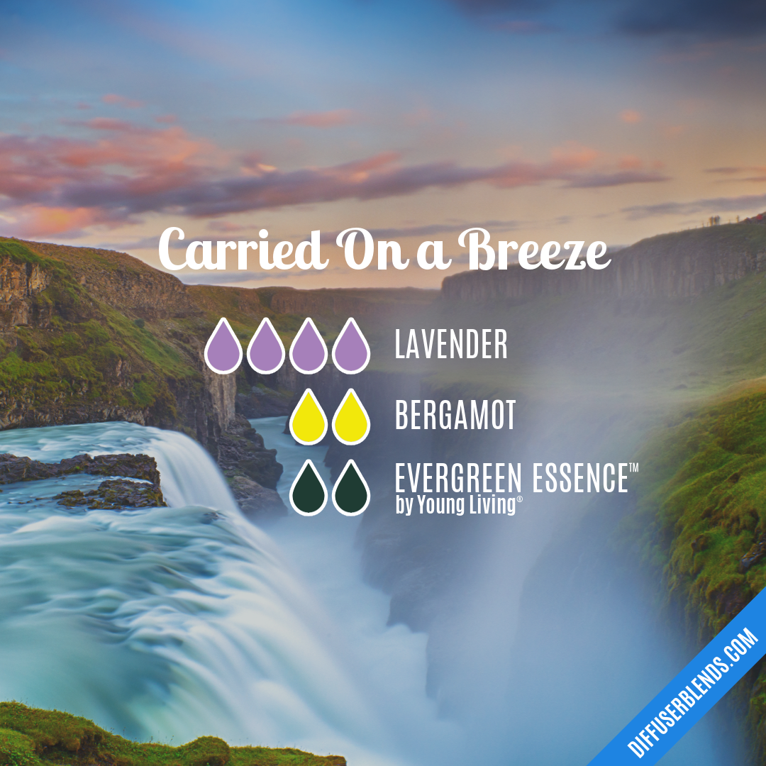 Carried On a Breeze | DiffuserBlends.com