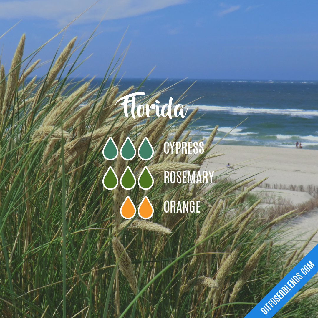 Florida | DiffuserBlends.com