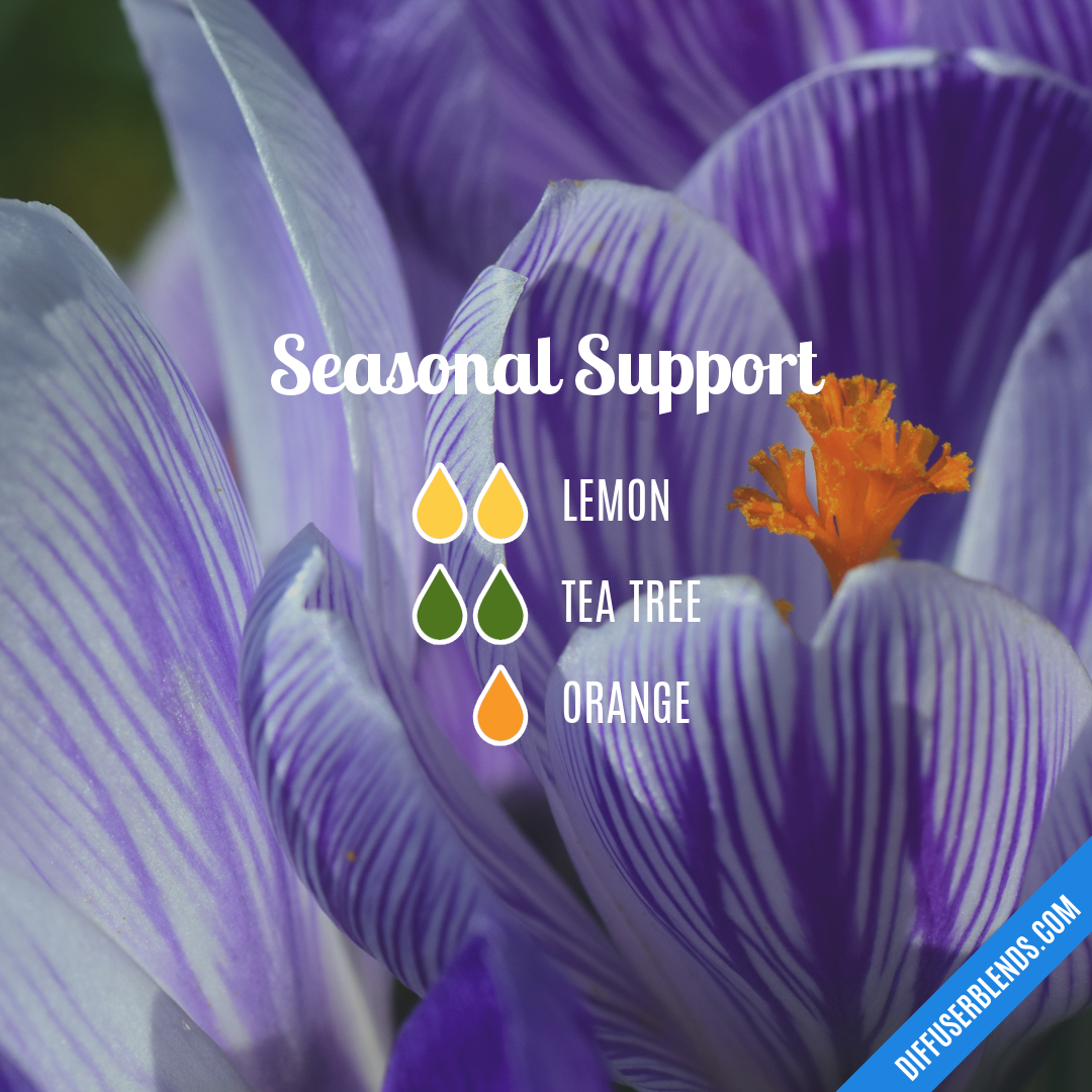 Seasonal Support | DiffuserBlends.com