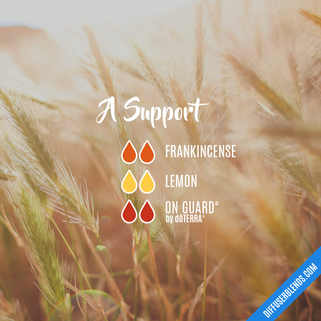 A Support | DiffuserBlends.com