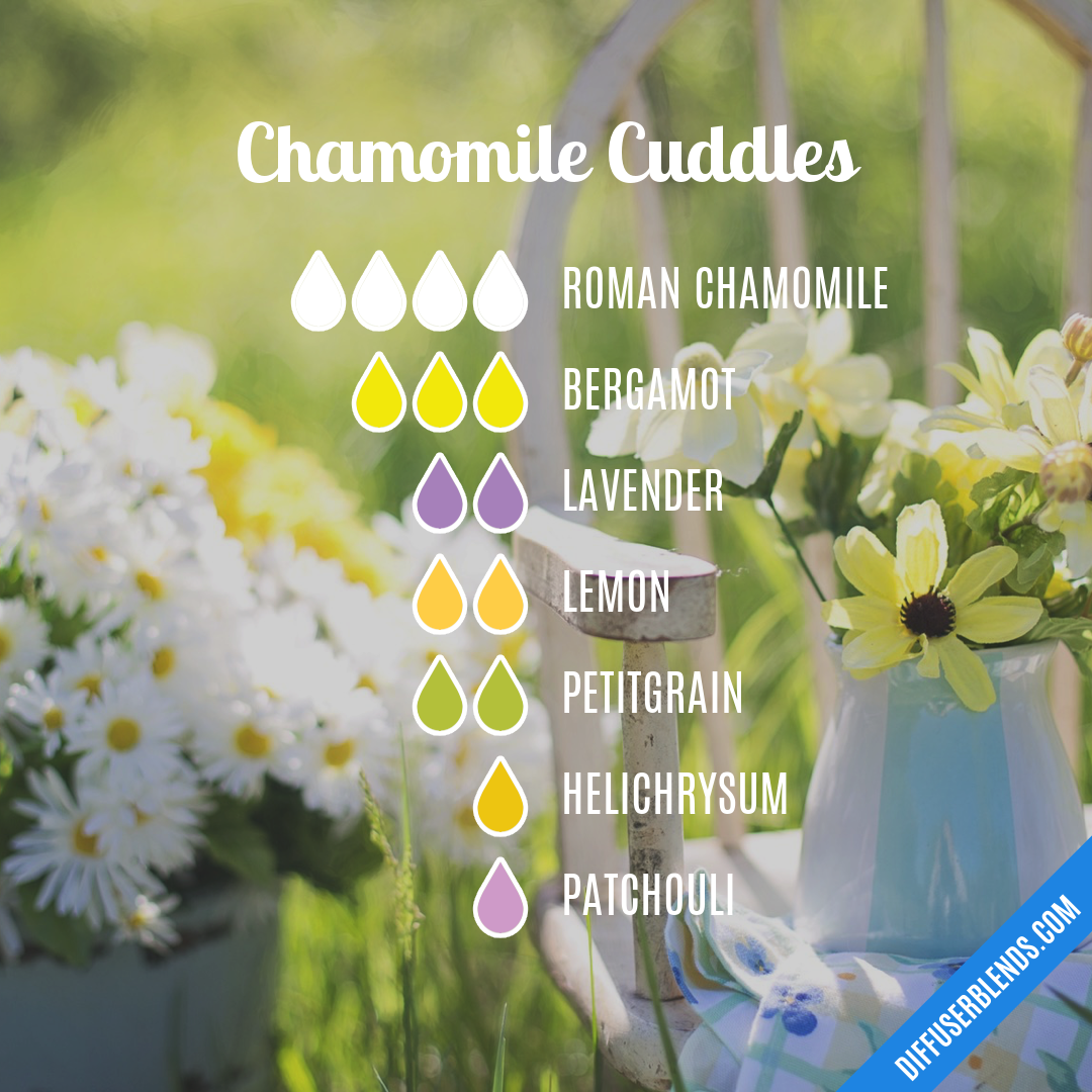 Chamomile Cuddles | DiffuserBlends.com