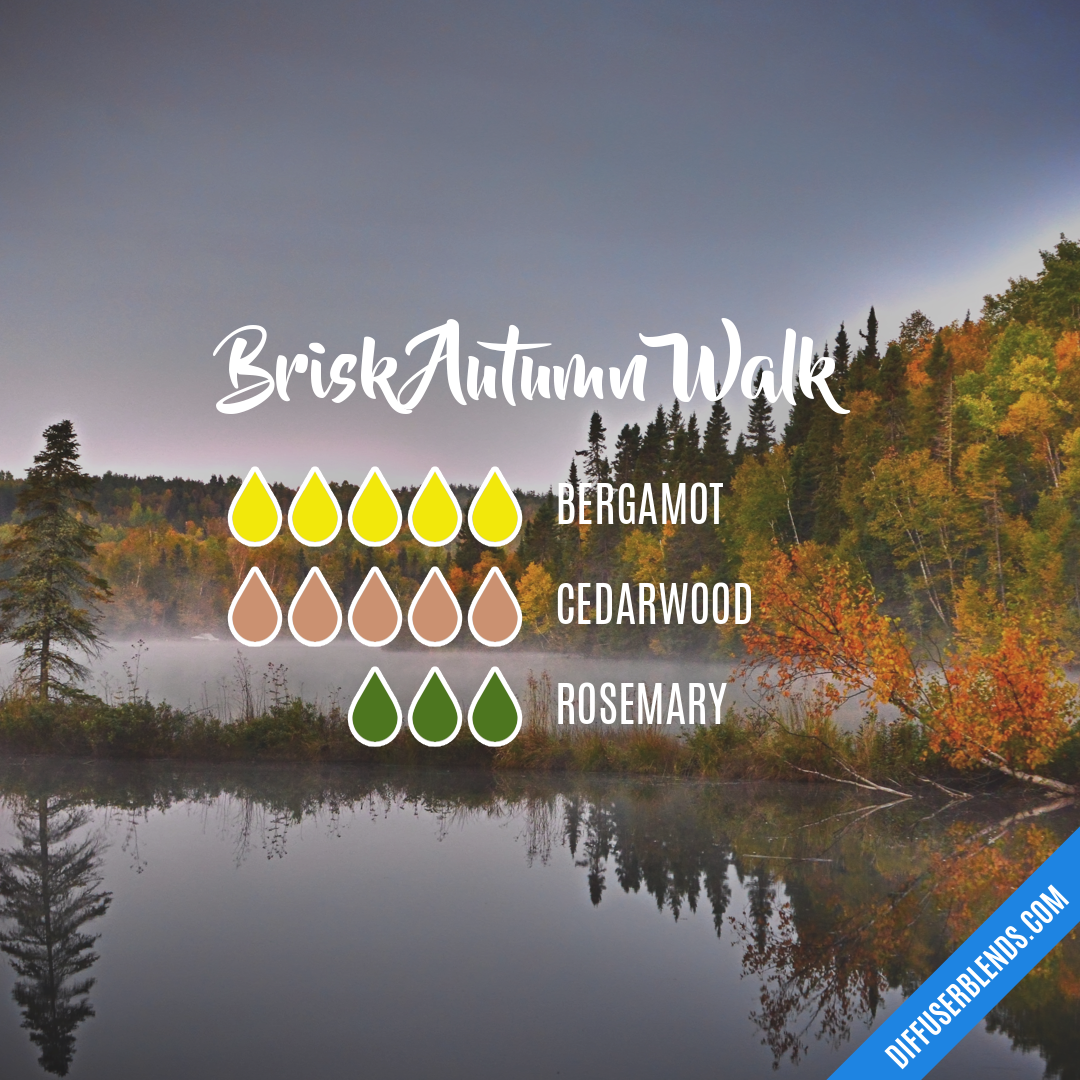 Brisk Autumn Walk | DiffuserBlends.com