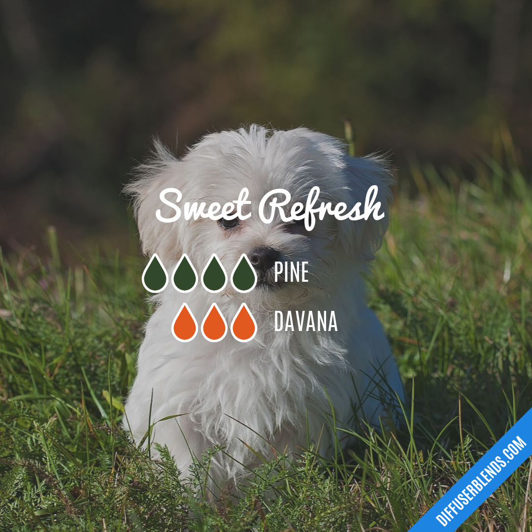 Sweet Refresh | DiffuserBlends.com