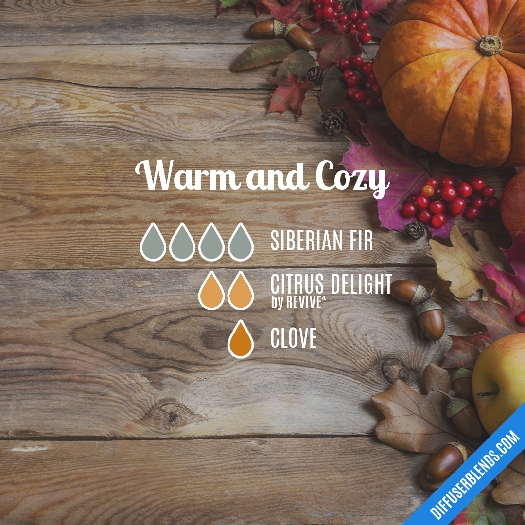 Warm and Cozy | DiffuserBlends.com
