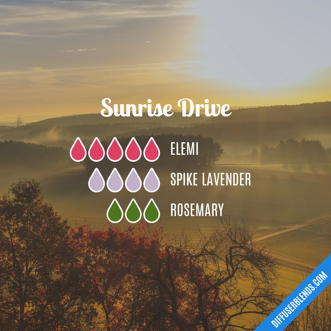 Sunrise Drive | DiffuserBlends.com